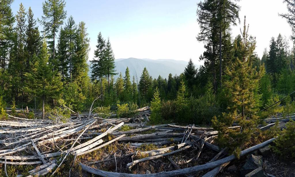 Services | Stephen Engineering Associates